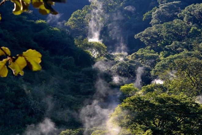 Acecha fuego al Bosque La Primavera