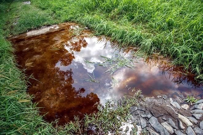 ‘Tratan’ lixiviados en planta de agua