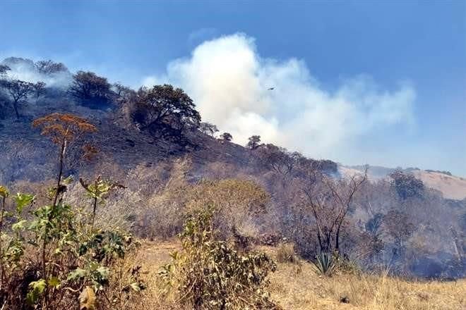 ¿Por qué el Cerro del Colli tiene alto peligro de incendios?