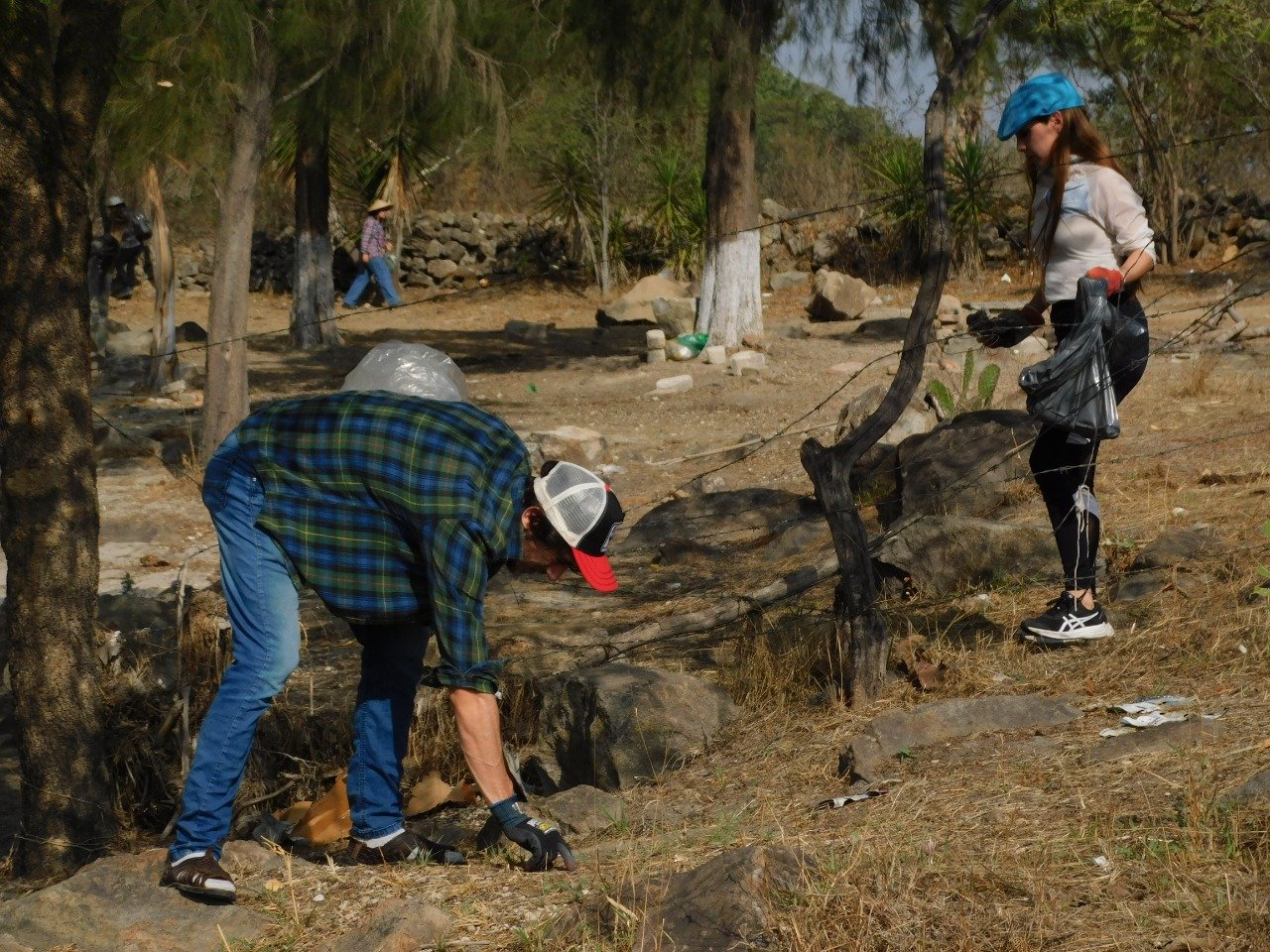 «Guardianes del Bosque» invita a ciudadanos a cuidar el ecosistema | LABCSA