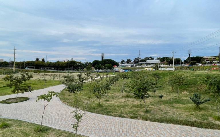 Bosque Urbano de Tlaquepaque: Luego de 25 años de lucha, hoy es una ...