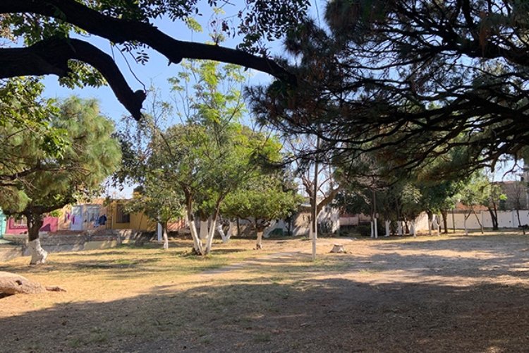 Exigen seguridad en parque El Cono
