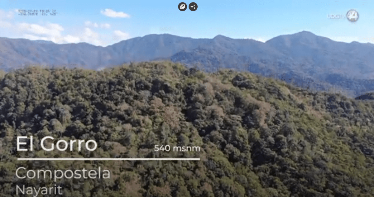 CONANP invertirá entre 20 y 30 millones en proyectos sobre la biosfera Sierra de vallejo-Río Ameca